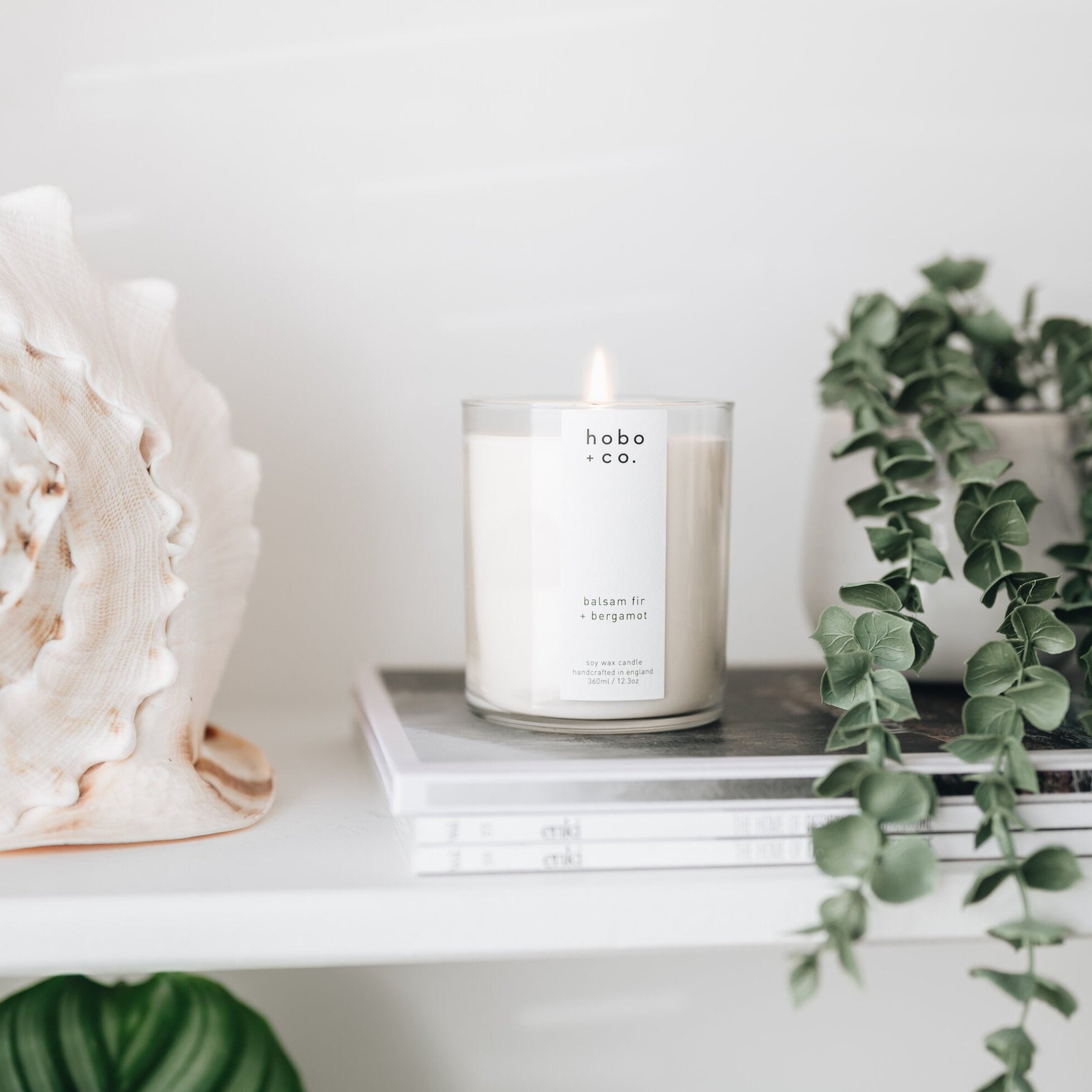 NEW LIMITED EDITION EXCLUSIVE CERAMIC COLLECTION